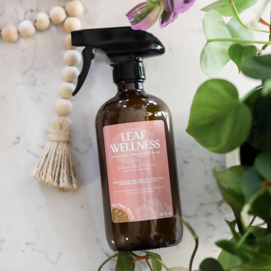 Leaf Wellness Spray – Bloom Floral Algona