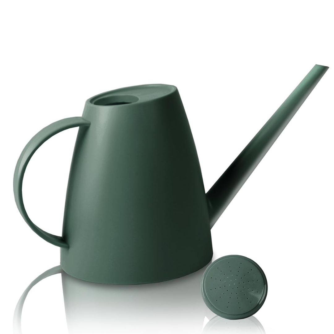 Modern Watering Can – Bloom Floral Algona