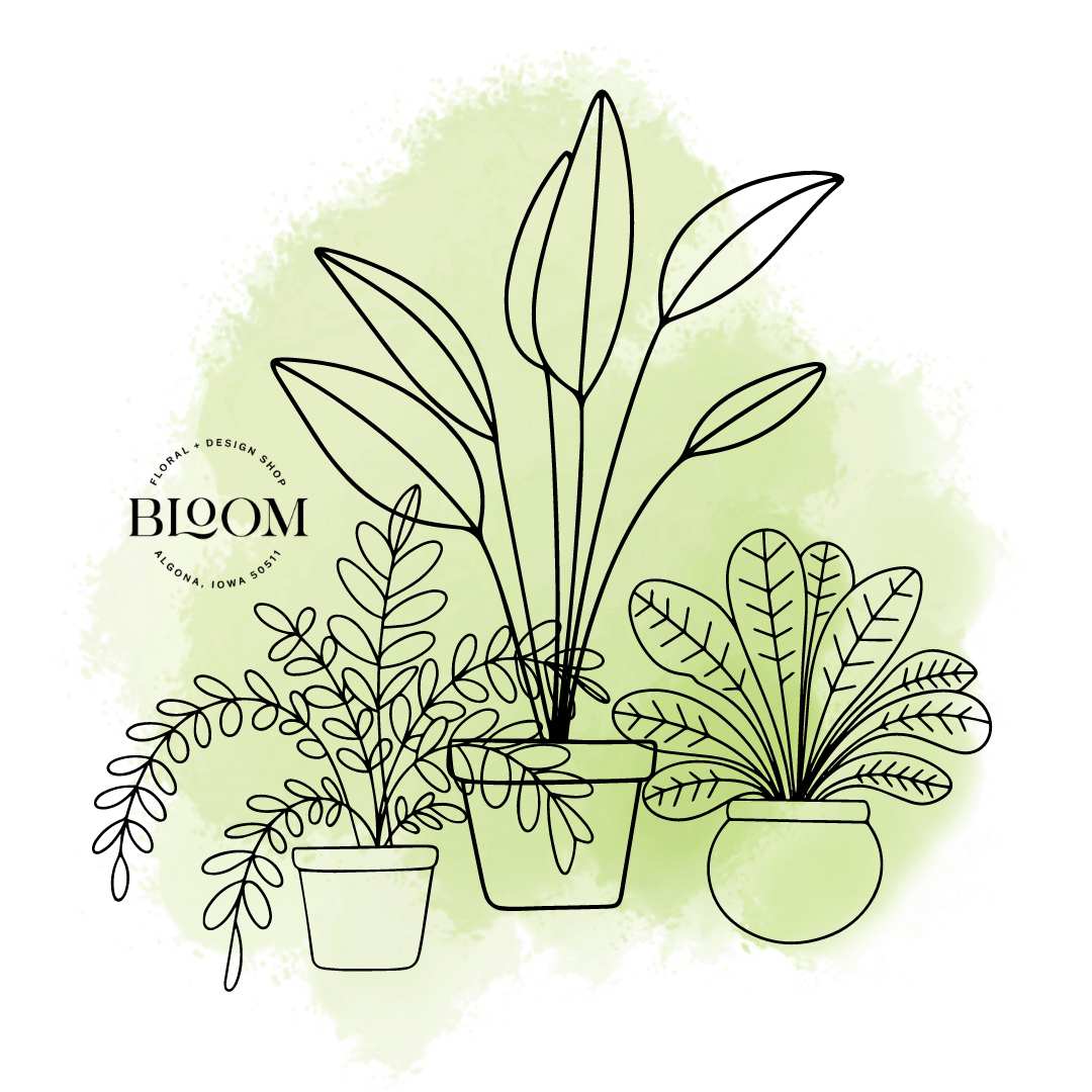 Plant Subscription – Bloom Floral Algona